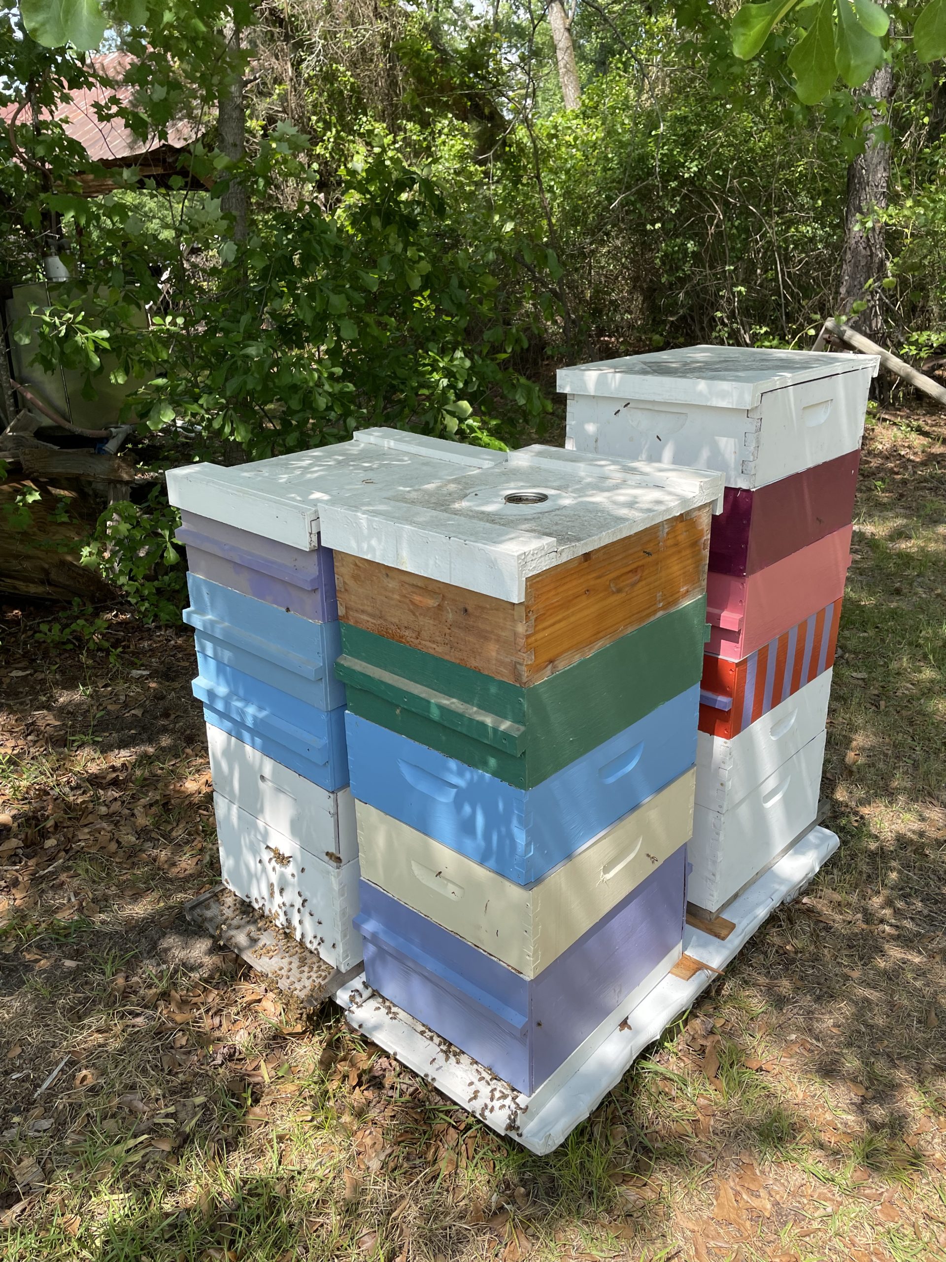 Community | Secret Garden Bees®